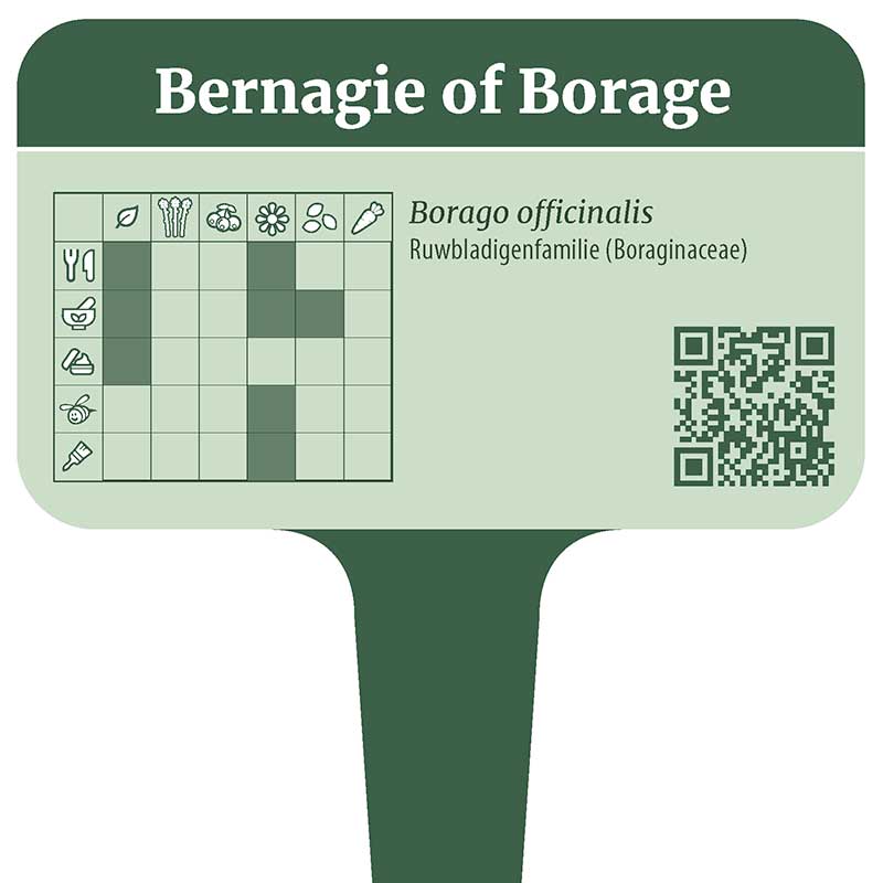 Bernagie – Plantbordjes